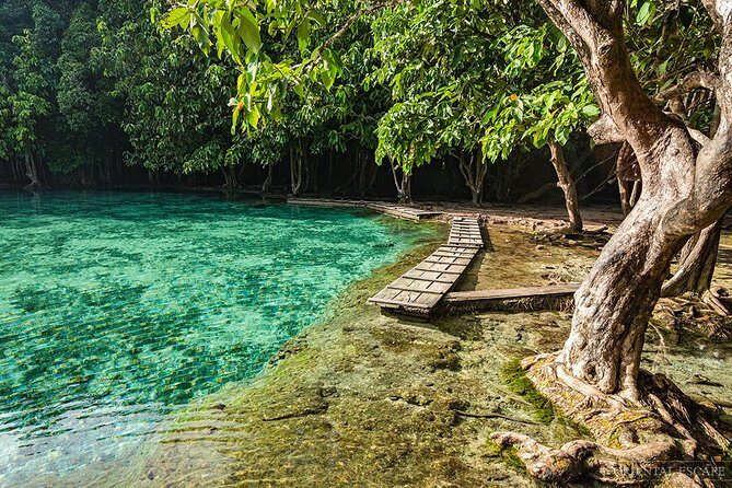 Full Day Emerald Pool and Wareerak Hot Spring Spa - What You Can Expect from the Tour