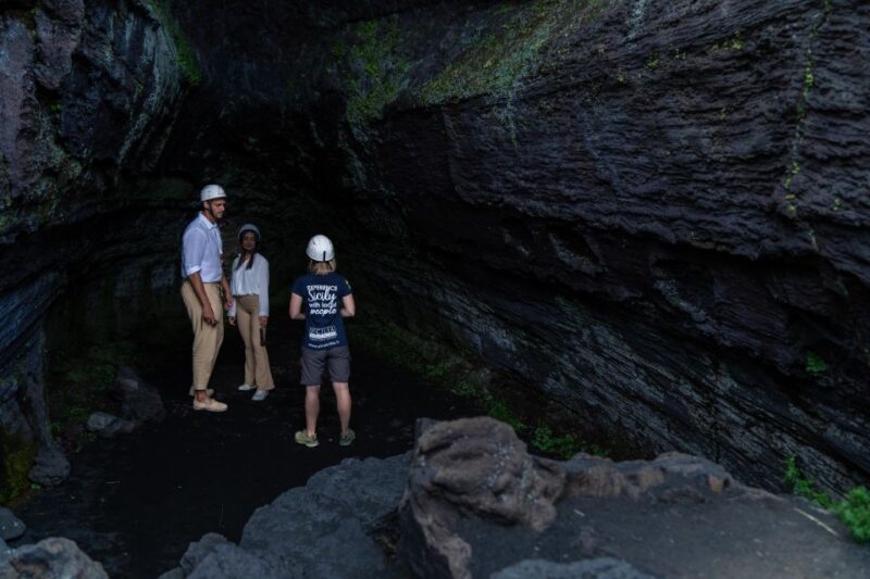 Full-Day Etna and Wine Tour from Catania - The Sum Up