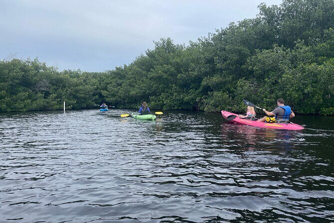 Full Day Everglades Combo Motorboat Eco and Kayak Tour - Stop 1: Everglades City (3 hours)