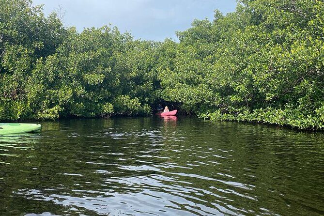 Full Day Everglades Combo Motorboat Eco and Kayak Tour - Stop 2: Big Cypress National Preserve (3 hours on kayak)