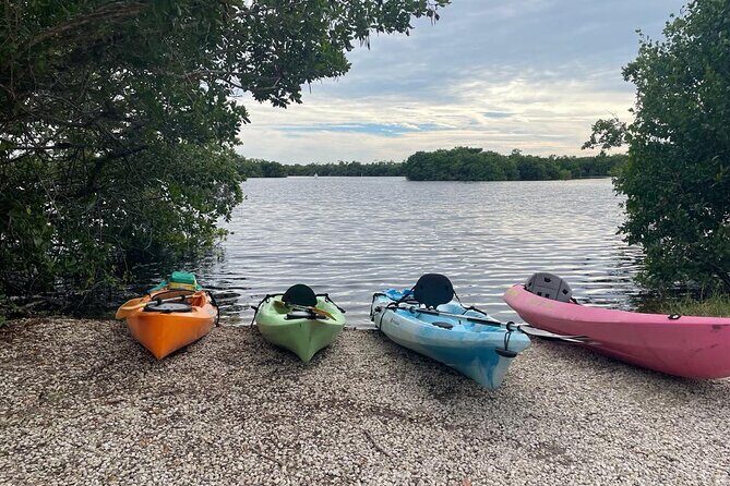 Full Day Everglades Combo Motorboat Eco and Kayak Tour - Meeting Points and Practicalities