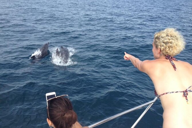 Full-Day Exclusive Boat Cruise with Drinks and Nibbles - Frequently Asked Questions