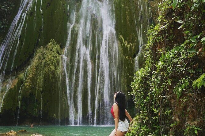 Full-Day Excursion to Samaná from Punta Cana - Return to Punta Cana