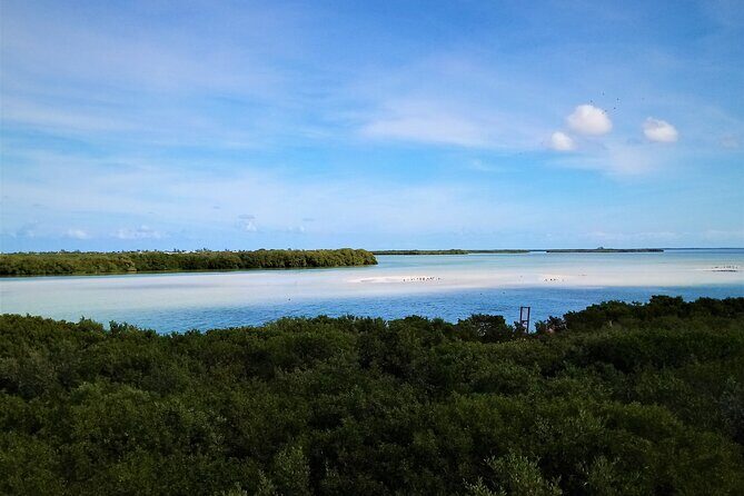 Full Day Excursion to the Best of Holbox From Riviera Maya - The Experience: What Youll Love