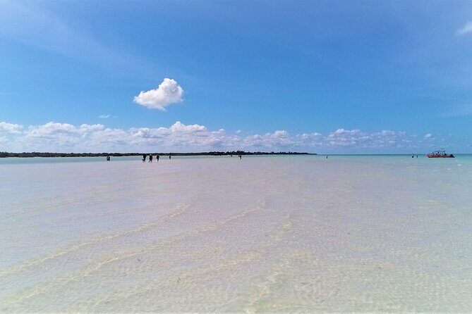 Full Day Excursion to the Best of Holbox From Riviera Maya - Who Will Love This Tour?