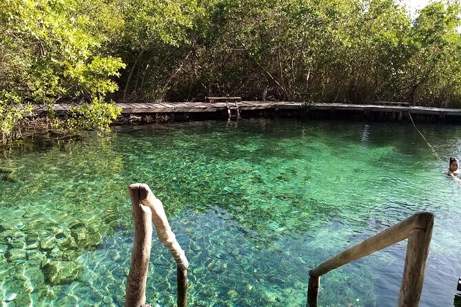 Full Day Excursion to the Best of Holbox From Riviera Maya - FAQ