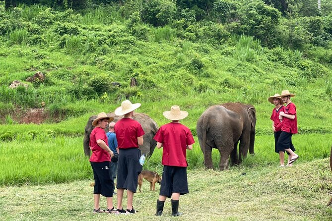 Full Day Experience at Ran-Tong Save & Rescue Elephant Centre - Final Thoughts: Why Choose This Tour?