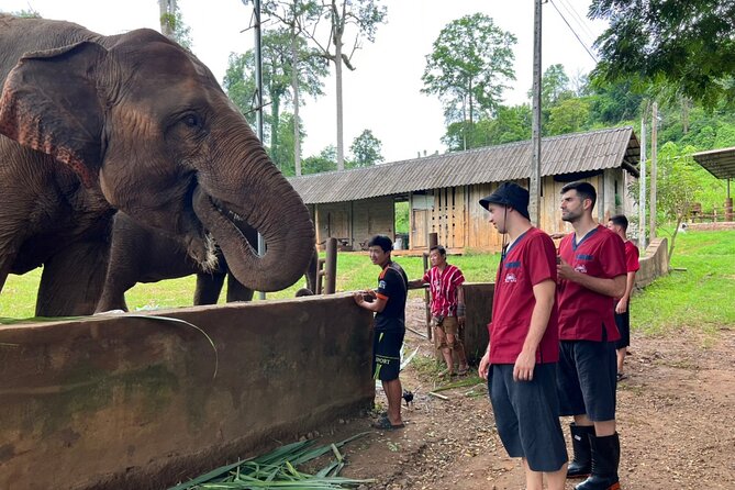 Full Day Experience at Ran-Tong Save & Rescue Elephant Centre - FAQ