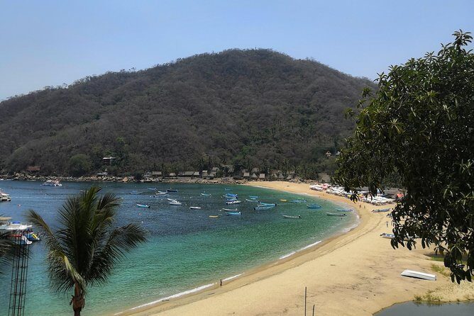 Full-Day Experience in Banderas Bay - Authentic Experiences and Authentic Guides