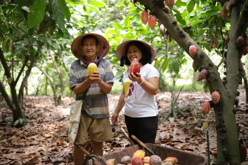 Full Day Experience to Farm and Chocolate - Value for Money and What’s Included