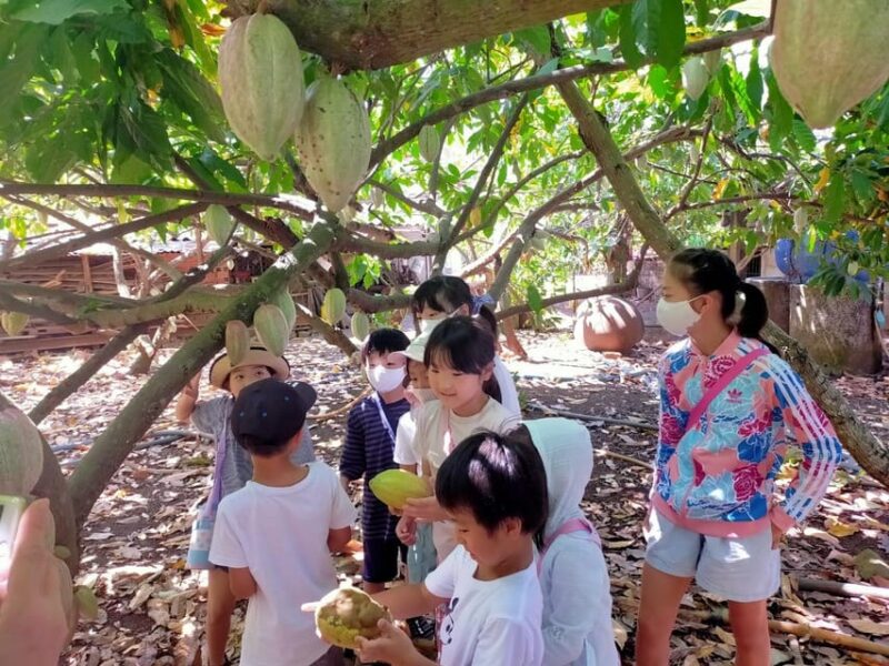 Full Day Experience to Farm and Chocolate - Final Thoughts: Who Will Love This Tour?