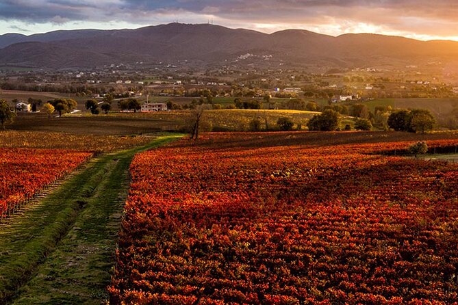 Full day experience | Umbria wine tasting and SPA relax - The Itinerary: A Closer Look at Your Day in Umbria