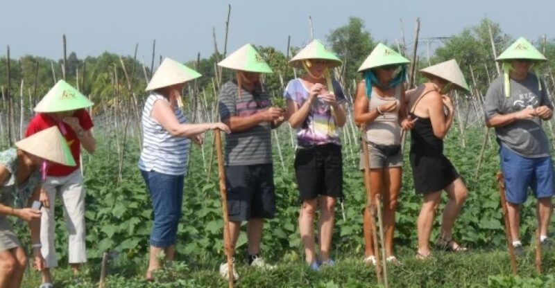 Full-Day Farming & Cooking class at Agricultural Village - Discovering the Cu Chi Agricultural Village