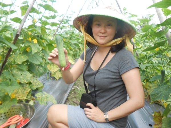 Full-Day Farming & Cooking class at Agricultural Village - Farm Activities: Feeding Livestock and Picking Produce