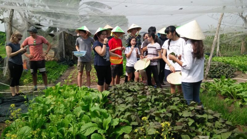 Full-Day Farming & Cooking class at Agricultural Village - The Lunch: A Reward for Your Efforts