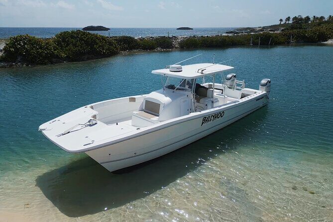 Full-Day Fishing Charter in East Coast, Puerto Rico - Who Should Consider This Tour?