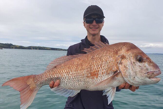 Full Day Fishing Trip on Auckland Waitemata Harbour - Final Thoughts: Is It Worth It?