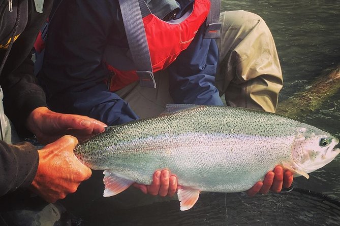 Full day fishing trips - Practical Information and Tips