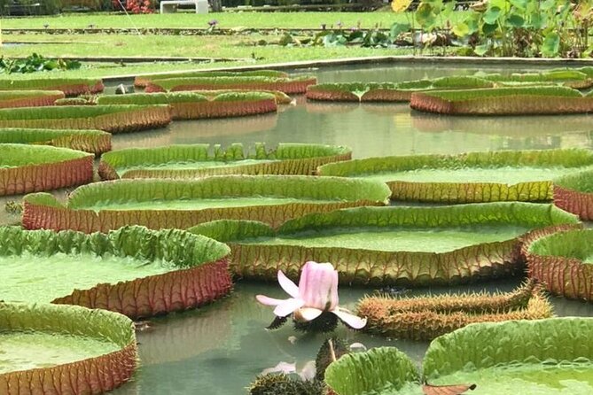 Full Day Flexi Private Tour in Penang Island with Pickup - Final Thoughts