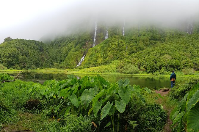 Full Day Flower Island Tour - Taking in the Local Flora and Fauna