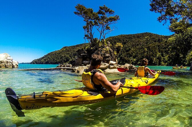 Full-Day Freedom Kayak Rental in New Zealand - Who Will Love This Experience?