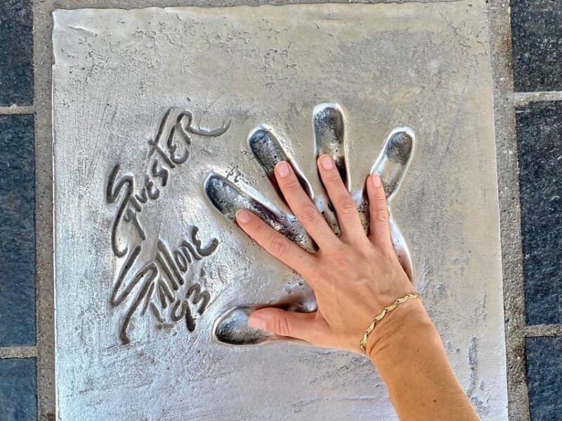 Full day French Riviera Panorama Tour - Who Is This Tour Best For?