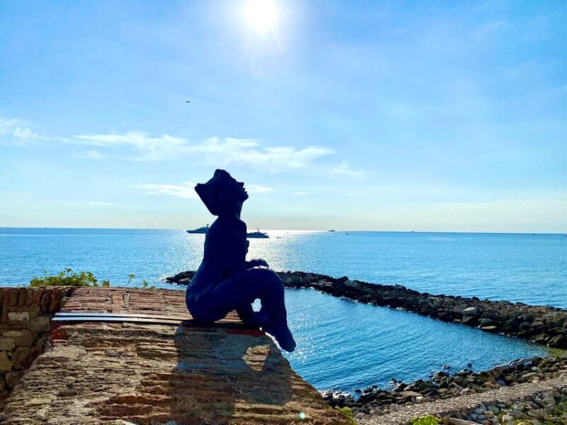 Full day French Riviera Panorama Tour - The Sum Up