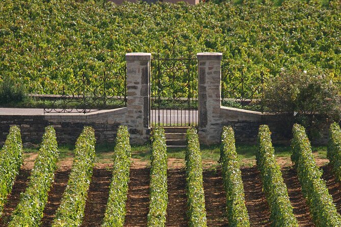 Full Day From Dijon: the Most of Burgundy With Lunch - Positive Feedback and Reviews