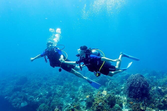 Full Day Fun Diving at Tulamben All inclusive - Why This Tour Offers Great Value