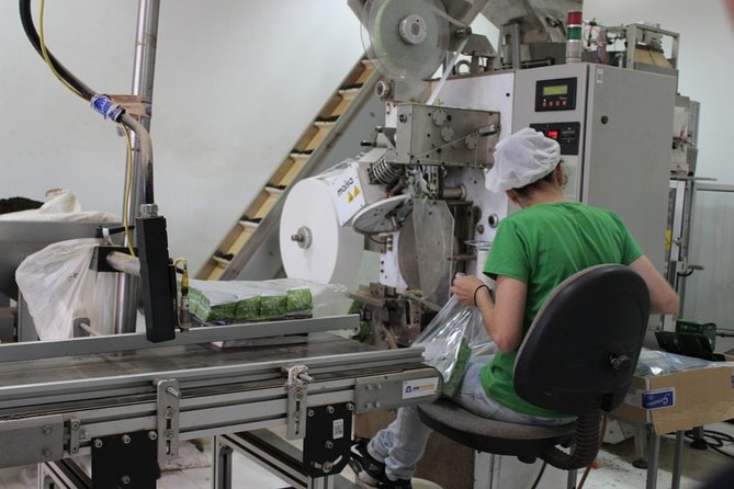 Full Day Furnas, Povoacão and Nordeste (East Side of the Island) - Inclusions and Highlights