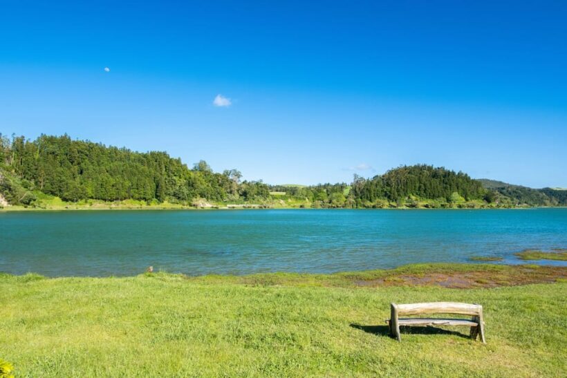 Full Day: Furnas, Tea Plantations & More With Lunch - Discover São Miguel’s Best: The Full Day Furnas, Tea Plantations & More Tour