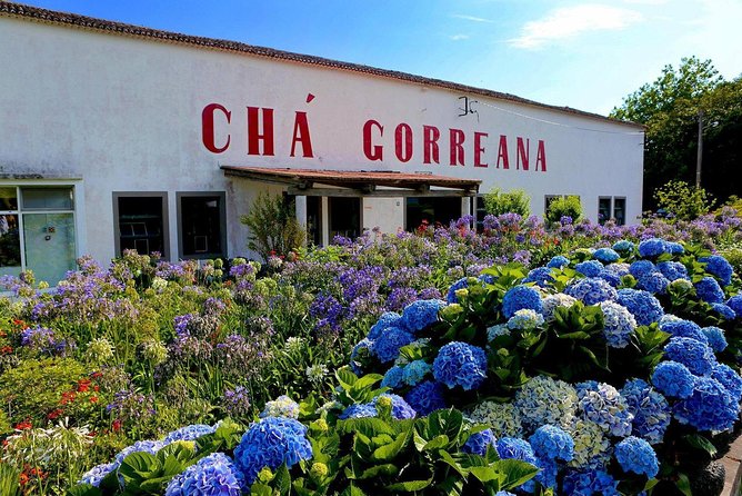 Full Day Furnas Volcano, With Traditional Lunch (East Tour) - Scenic Views and Unique Landscapes