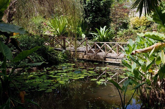 Full Day Garden Delight Private Tour in Barbados - Orchid World: Color and Waterfalls