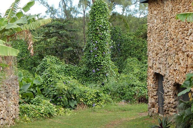 Full Day Garden Delight Private Tour in Barbados - Hunte’s Gardens: An Artistic Touch