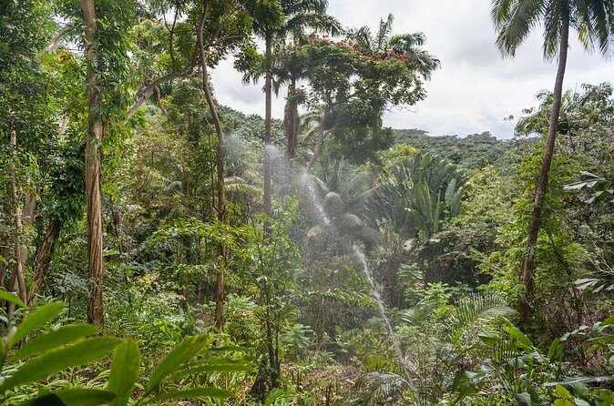 Full Day Garden Delight Private Tour in Barbados - The Practicalities: What to Expect