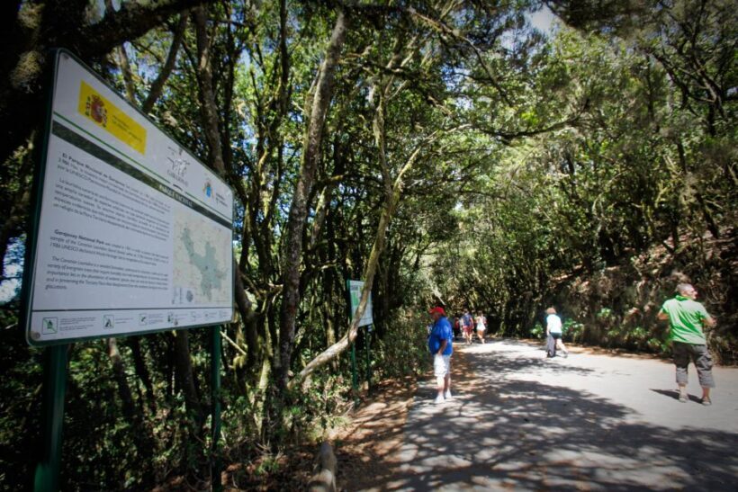 Full-Day Gomera Jeep Safari Excursion from Arona - Who Will Love This Tour?
