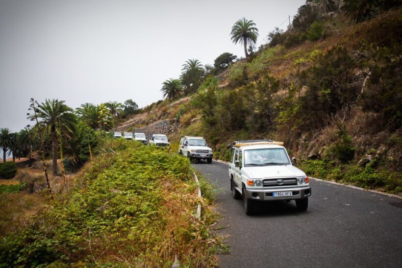 Full-Day Gomera Jeep Safari Excursion from Arona - The Value of This Tour