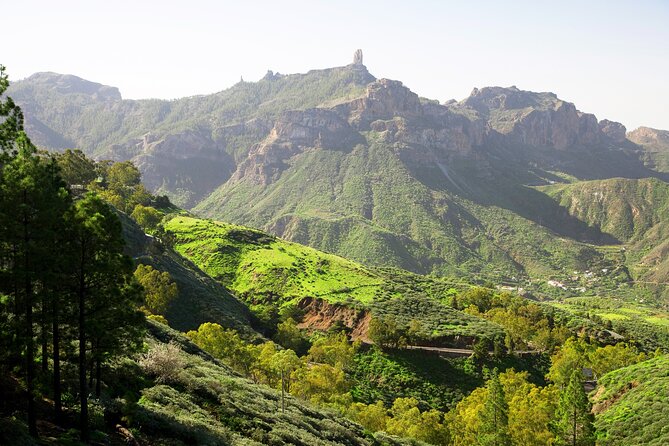Full-Day Gran Canaria Tour With Teror, Tejeda and Lunch in Fataga - Guest Reviews and Feedback