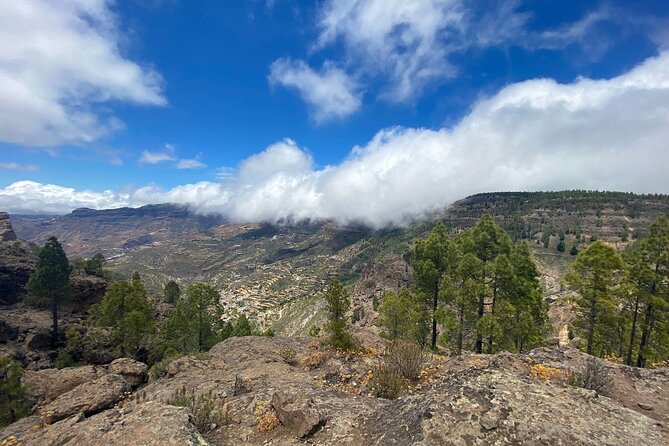Full-Day Gran Canaria Tour With Teror, Tejeda and Lunch in Fataga - Since You Asked