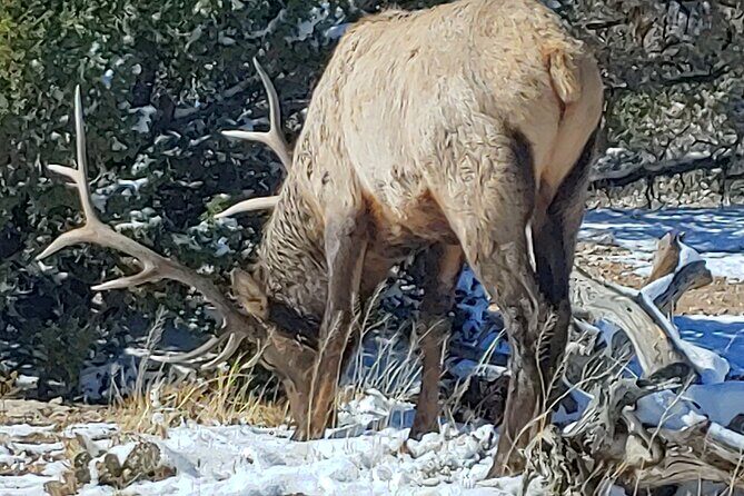 Full-Day Grand Canyon Private Tour from Sedona - Practical Tips for Making the Most of Your Day