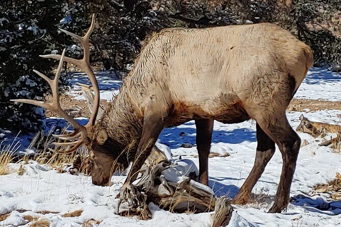 Full-Day Grand Canyon Private Tour from Sedona - FAQ