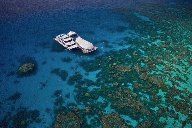 Full-Day Great Barrier Reef Pontoon with Snorkeling & Activities - An In-Depth Look at the Tour Experience