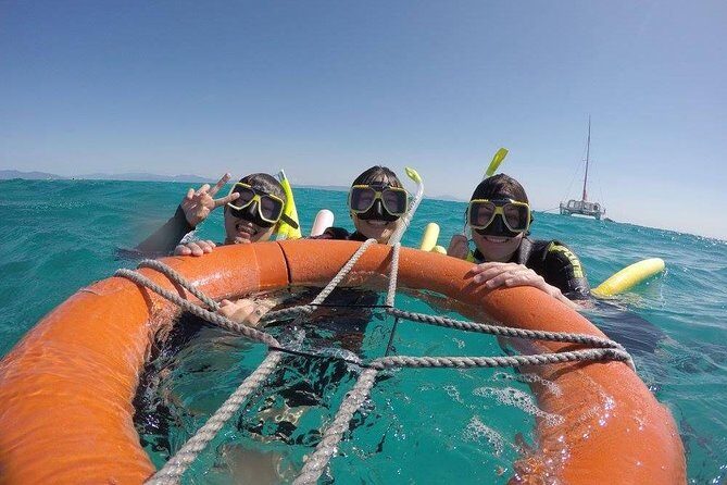 Full-Day Great Barrier Reef Sailing Trip from Cairns - Key Points