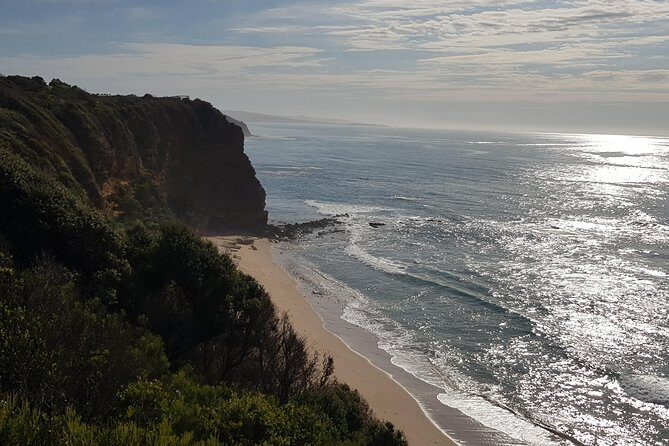 Full-Day Great Ocean Road Tour from Melbourne - The Itinerary in Detail: What Travelers Can Expect