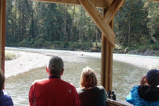 Full Day Grizzly Bear Tour to Bute Inlet - Who Is This Tour Best Suited For?