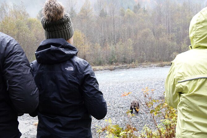Full Day Grizzly Bear Tour to Bute Inlet - The Sum Up: Who Will Love This Tour?
