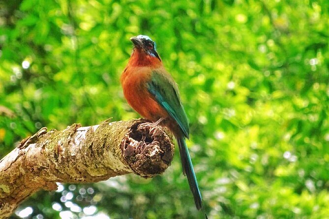 Full Day Group Tour in Tobago Atlantic Coast - Practical Considerations