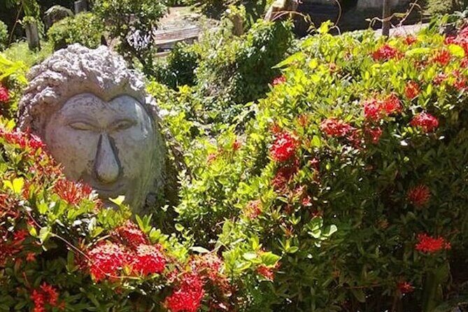 Full Day Group Tour in Tobago Atlantic Coast - Final Thoughts