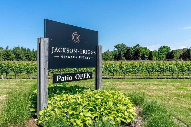 Full-Day Group Wine Tour (with cheese and charcuterie) in Niagara-on-the-Lake - A Detailed Look at the Tour Experience
