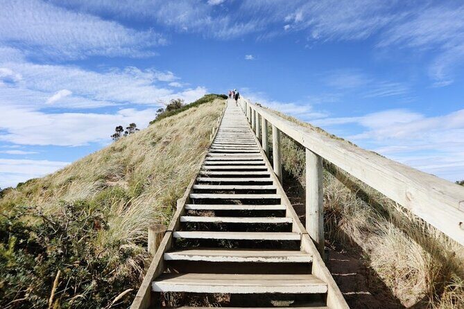 Full-Day Guided Bruny Island Tour from Hobart - What Travelers Say